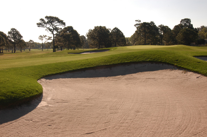 belleview biltmore golf club