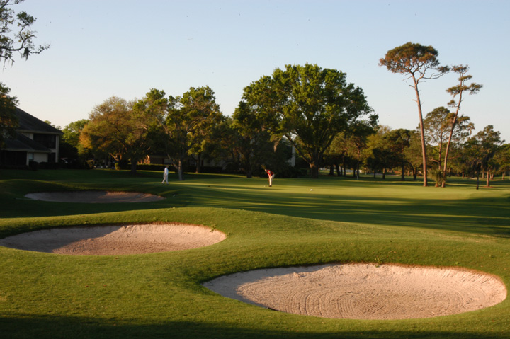 belleview biltmore golf club