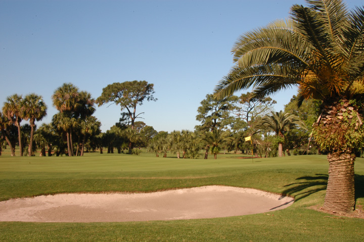 belleview biltmore golf club