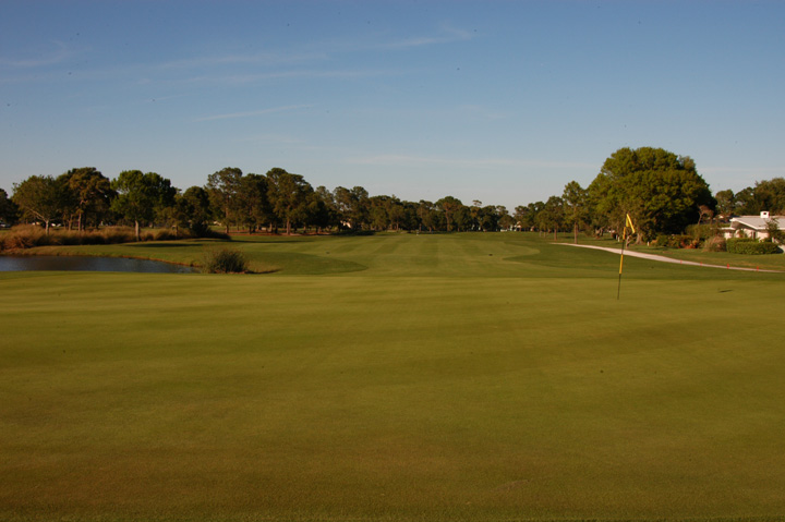 belleview biltmore golf club