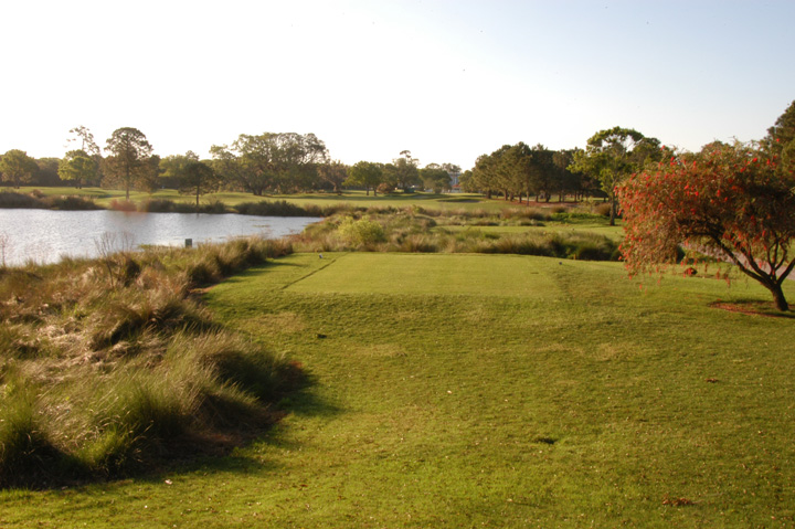 belleview biltmore golf club