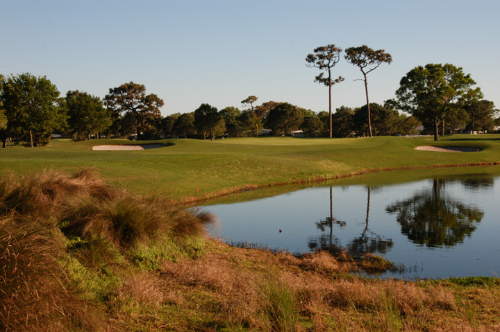 belleview biltmore golf club