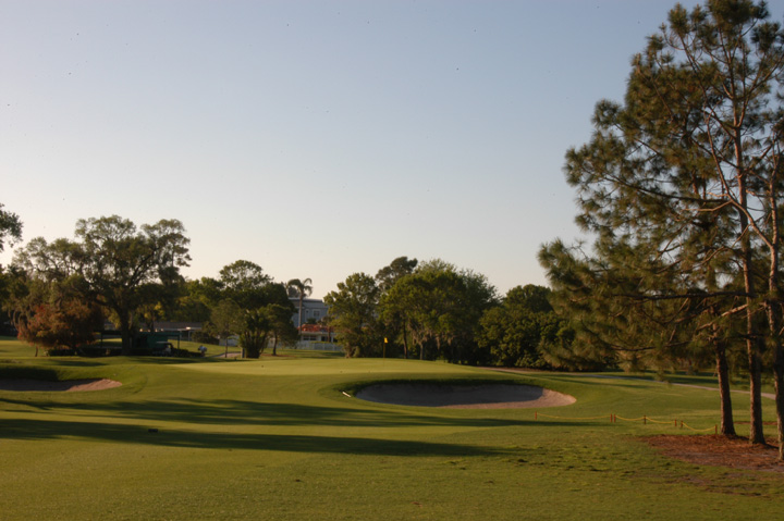 belleview biltmore golf club
