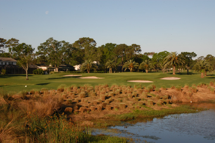 belleview biltmore golf club