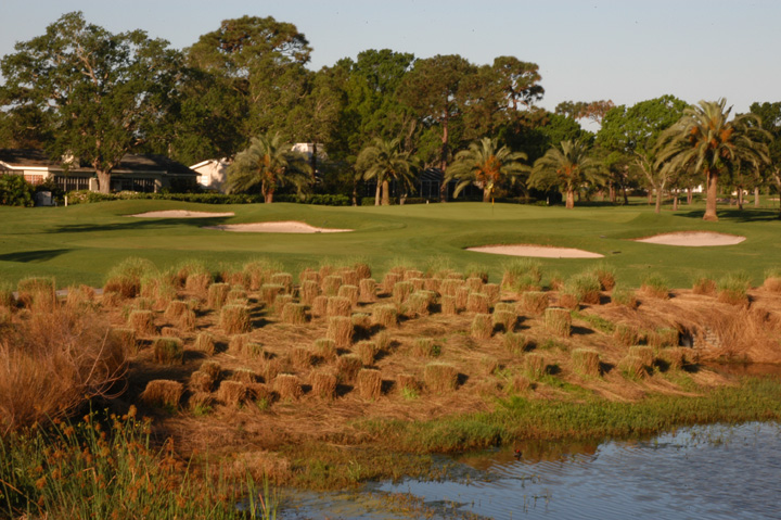 belleview biltmore golf club