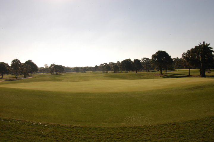 belleview biltmore golf club