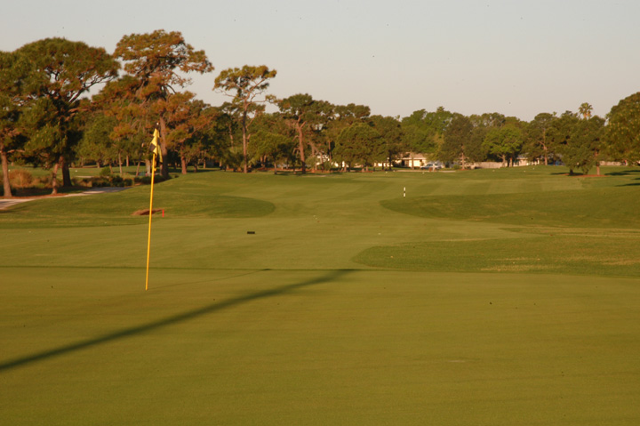 belleview biltmore golf club