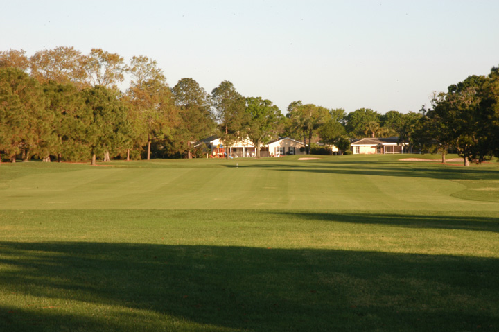 belleview biltmore golf club