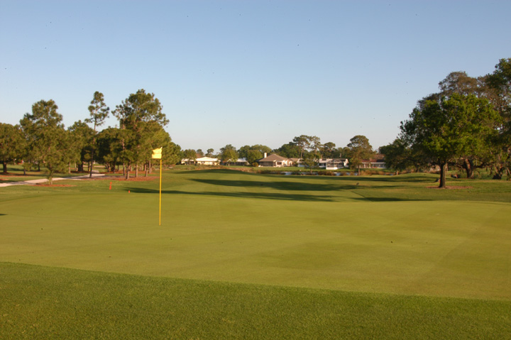 belleview biltmore golf club