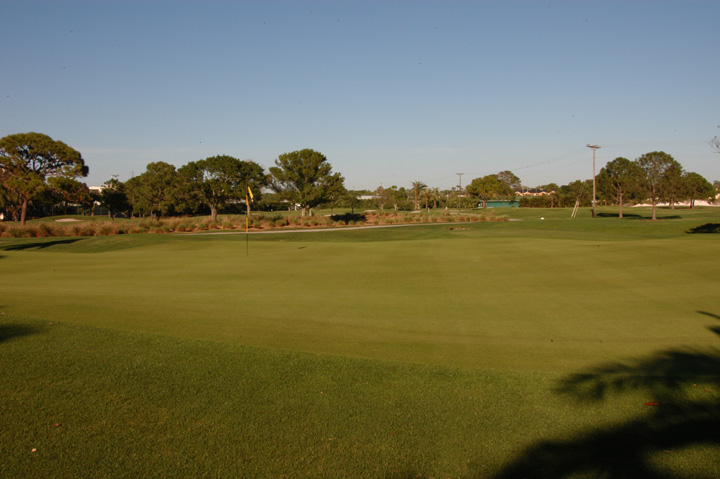 belleview biltmore golf club