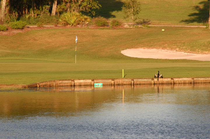 forest lake golf club, elite golf courses, caddiecorner, tid griffin