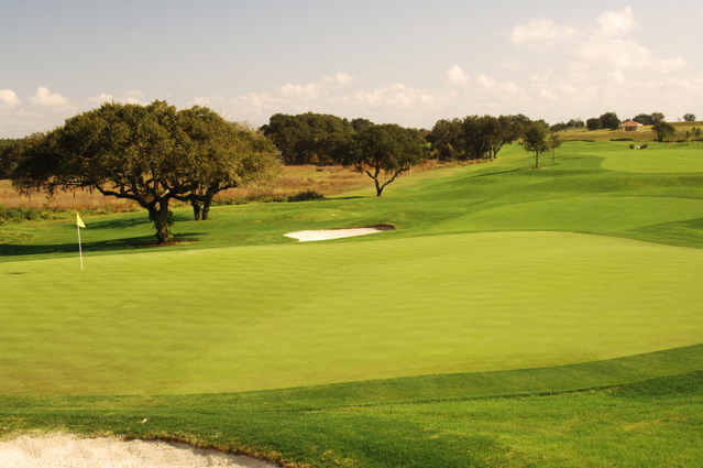 orangecountynationalcrookedcat0348