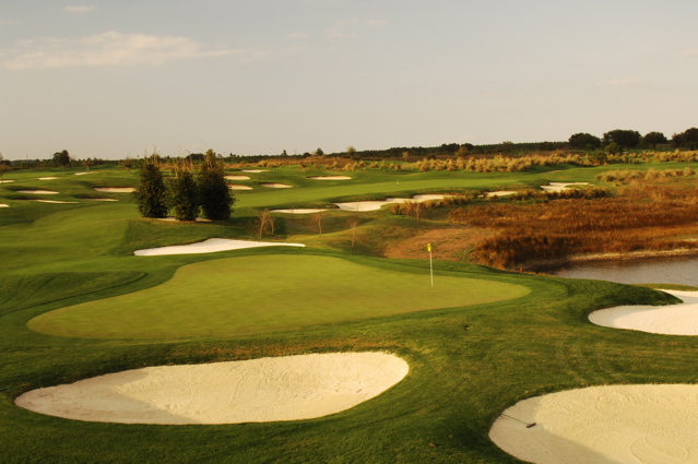 orangecountynationalcrookedcat0414