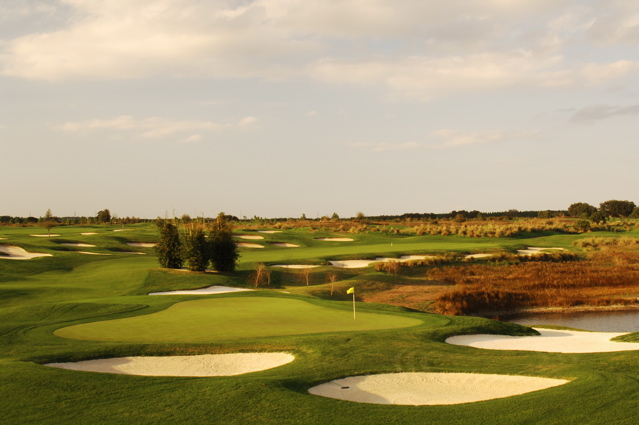 orangecountynationalcrookedcat0423