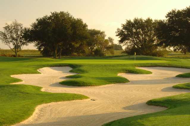 orangecountynationalcrookedcat0475